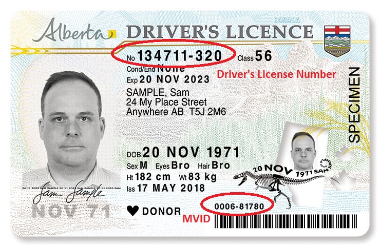 Frank Driving School - Register